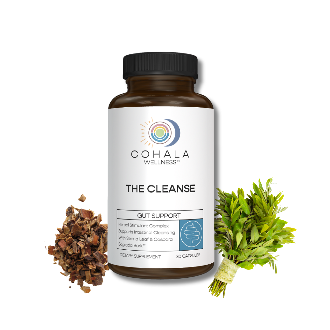 Digestive Health 101: Understanding the Importance of Gut Health ...